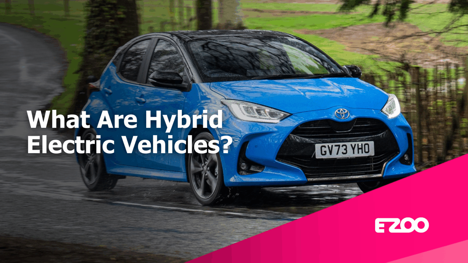 What Are Hybrid Electric Vehicles? - EZOO